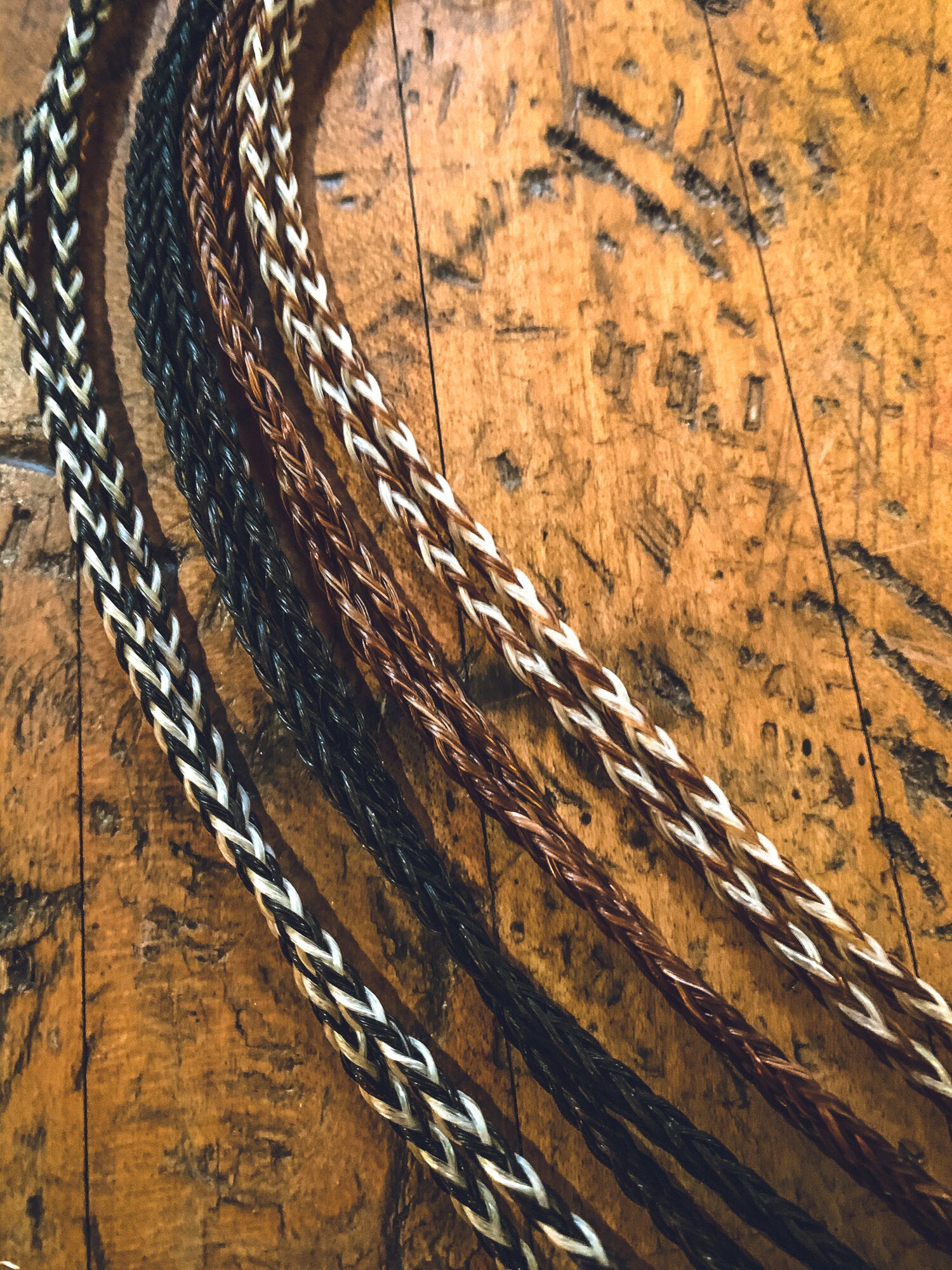 Stampede Strings – Salt Ranch